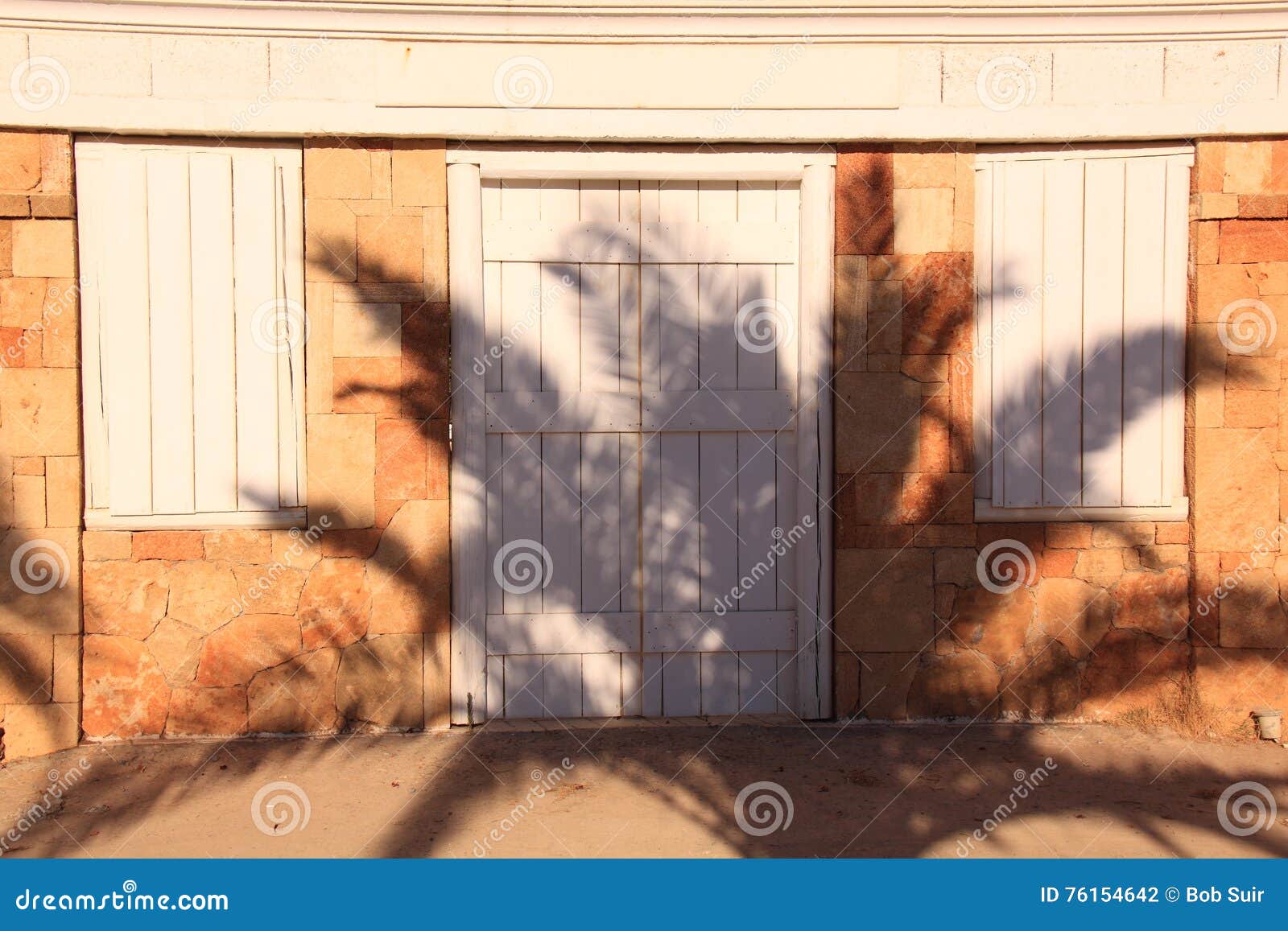 Palm tree shadow stock photo. Image of wood, palm, tropical - 76154642