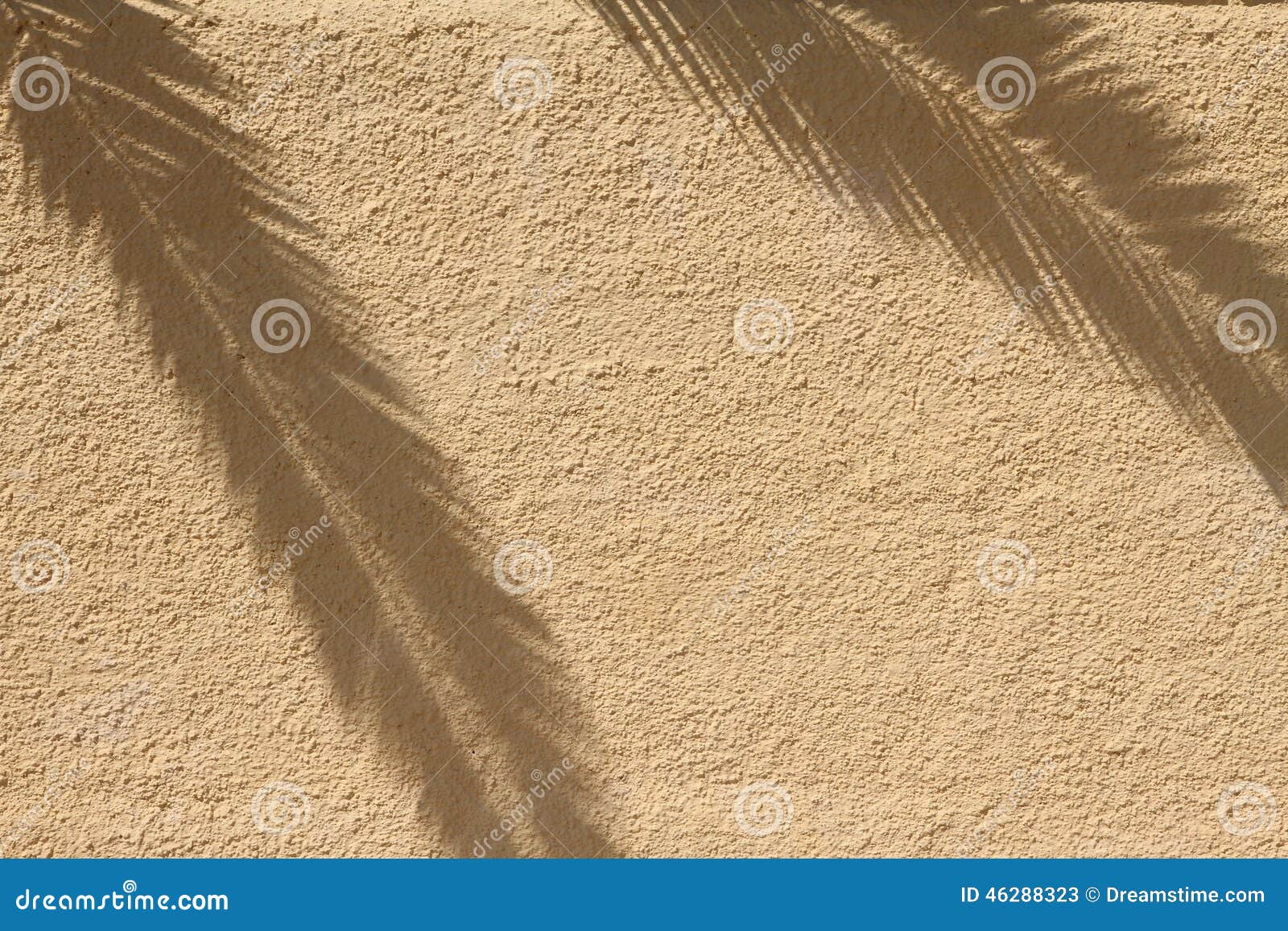 Palm Tree on Shadow on Wall Stock Image - Image of abstract, space ...