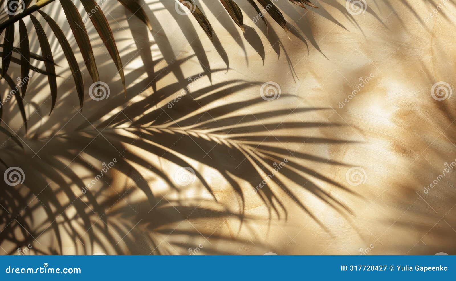 Palm Tree Shadow on Wall stock image. Image of urban - 317720427