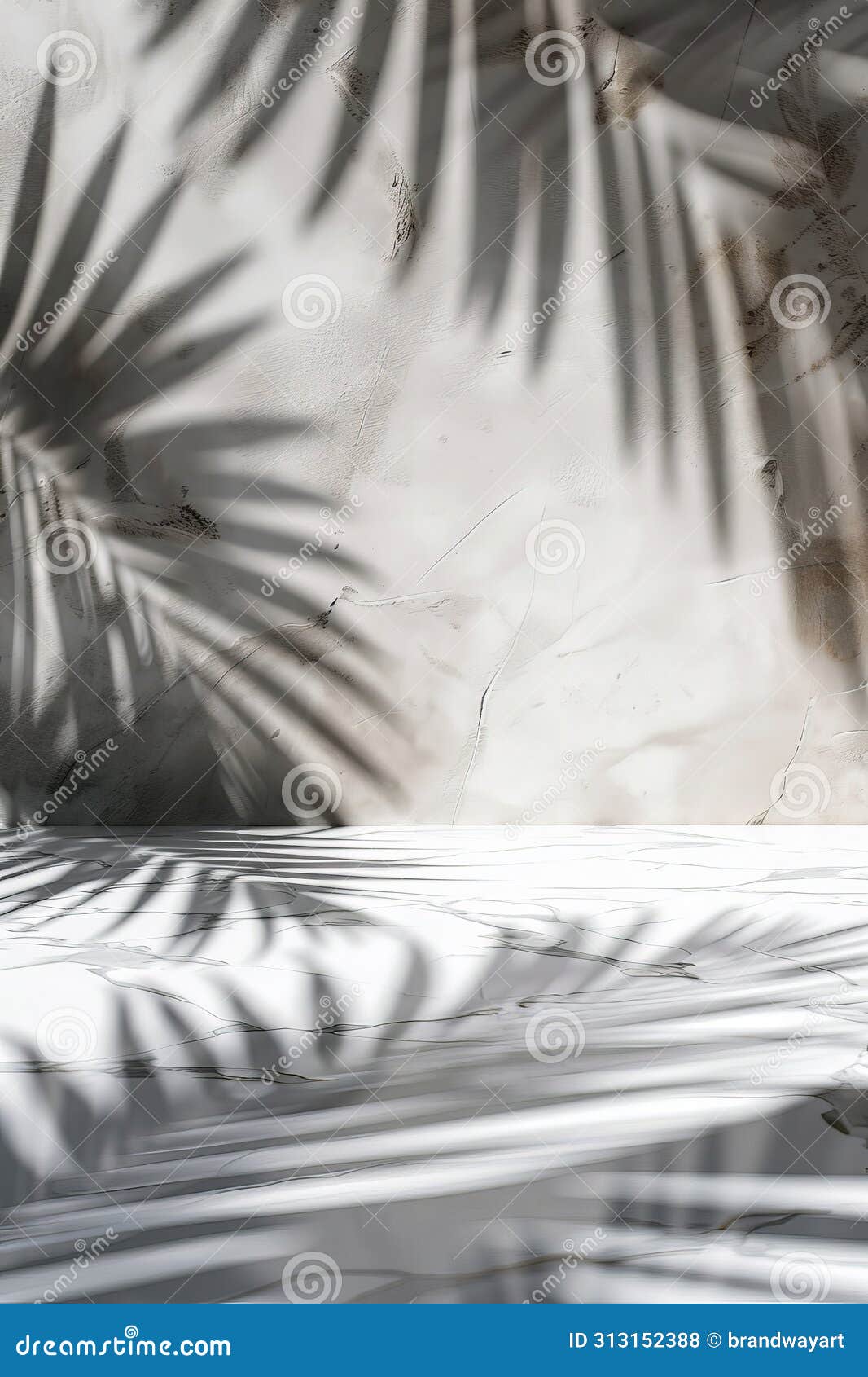 Palm Tree Shadow on Wall stock illustration. Illustration of photograph ...