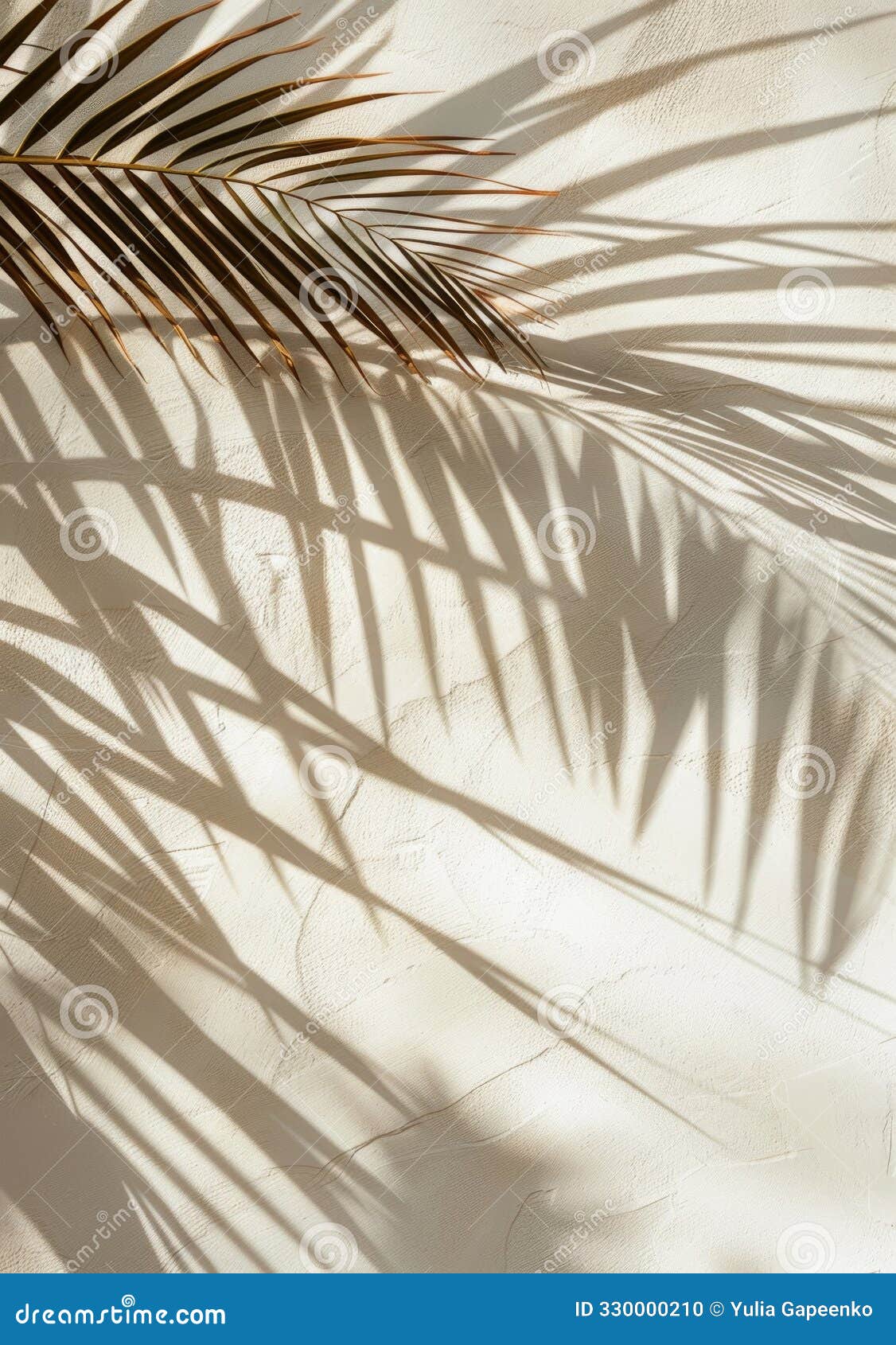 Palm Tree Shadow on Wall stock photo. Image of dark - 330000210