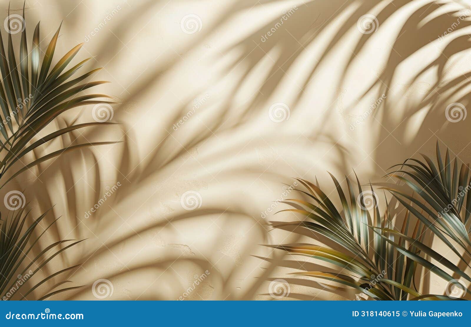 Palm Tree Shadow on Wall stock image. Image of nature - 318140615
