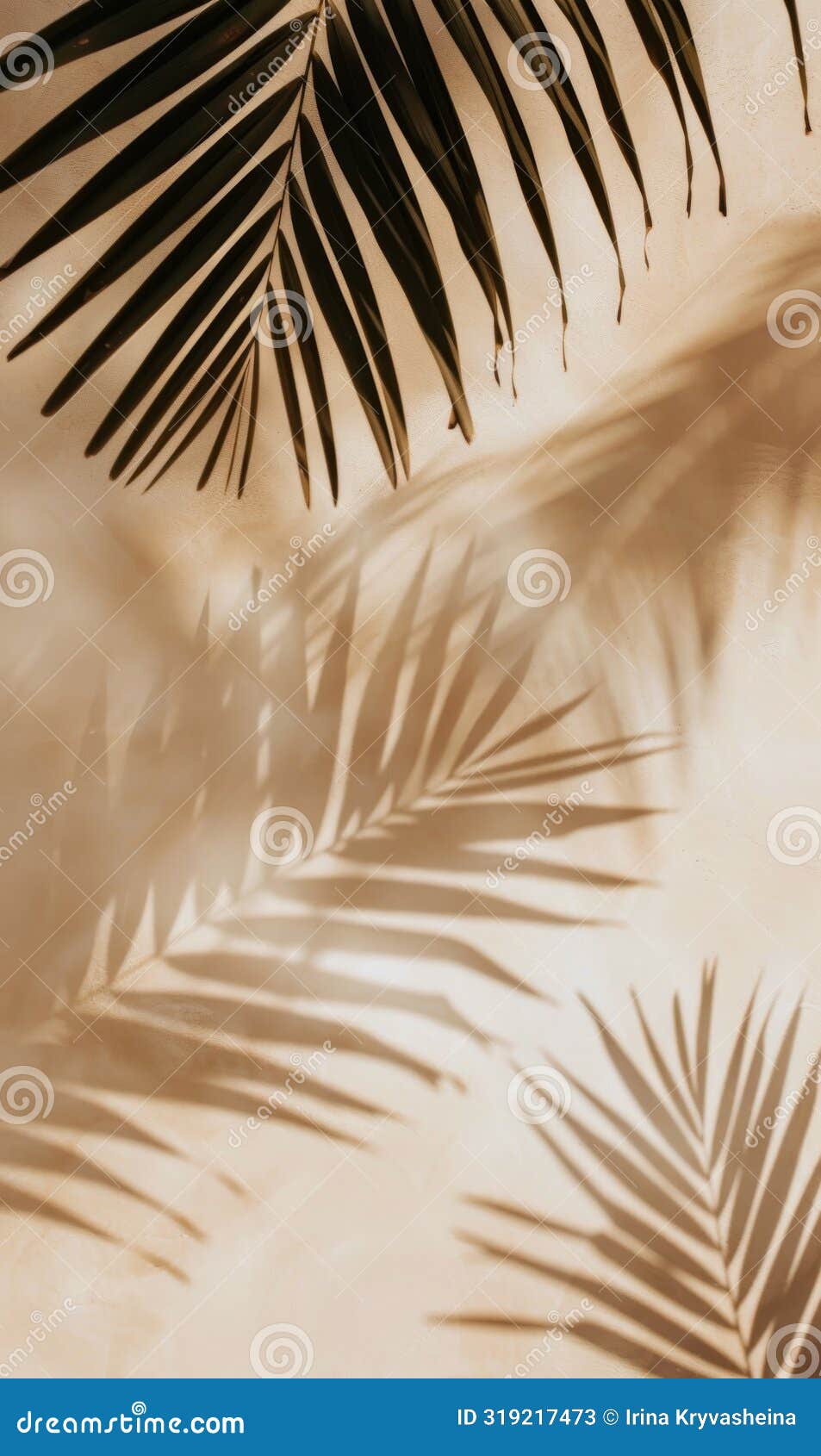 Palm Tree Shadow on Wall stock image. Image of nature - 319217473