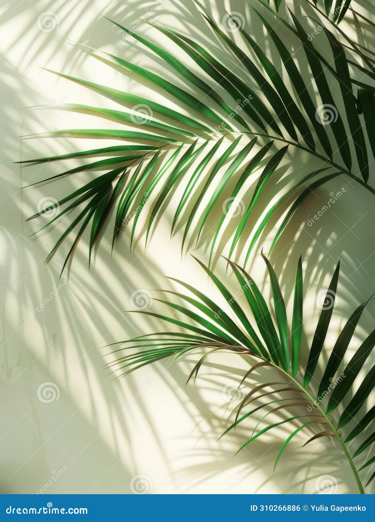 Palm Tree Shadow on Wall stock photo. Image of sunlight - 310266886