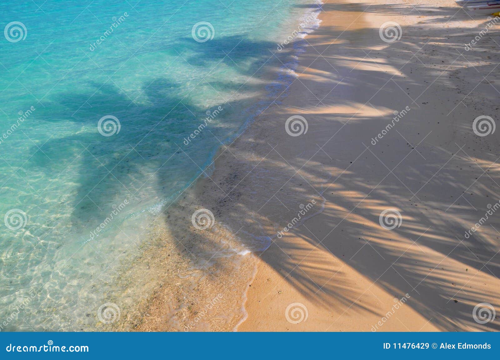 Palm Tree Shadows stock image. Image of sand, paradise - 11476429