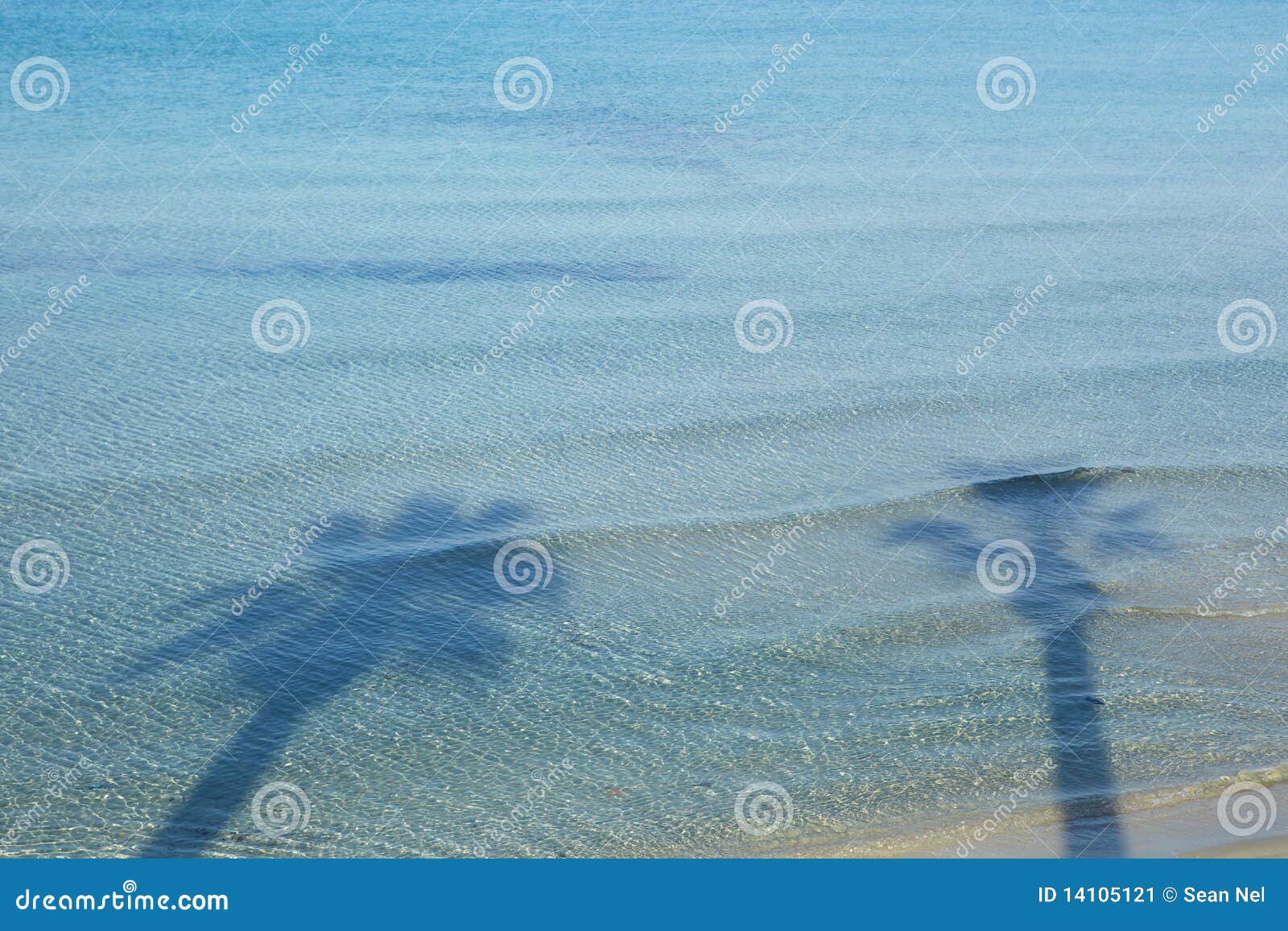 Palm tree shadows stock image. Image of tree, background - 14105121