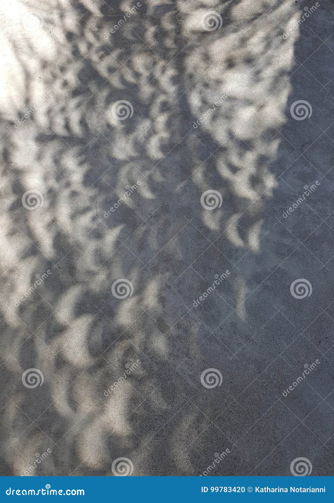Palm Tree Shadows Created by Solar Eclipse 2017 Stock Photo - Image of ...