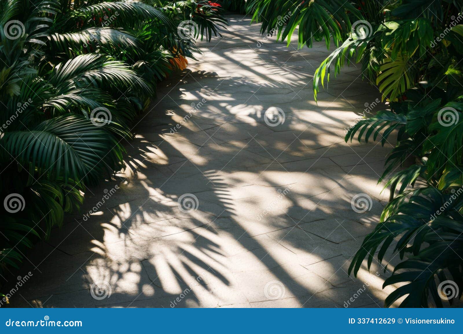 Palm Tree Shadows on a Stone Pathway Stock Illustration - Illustration ...