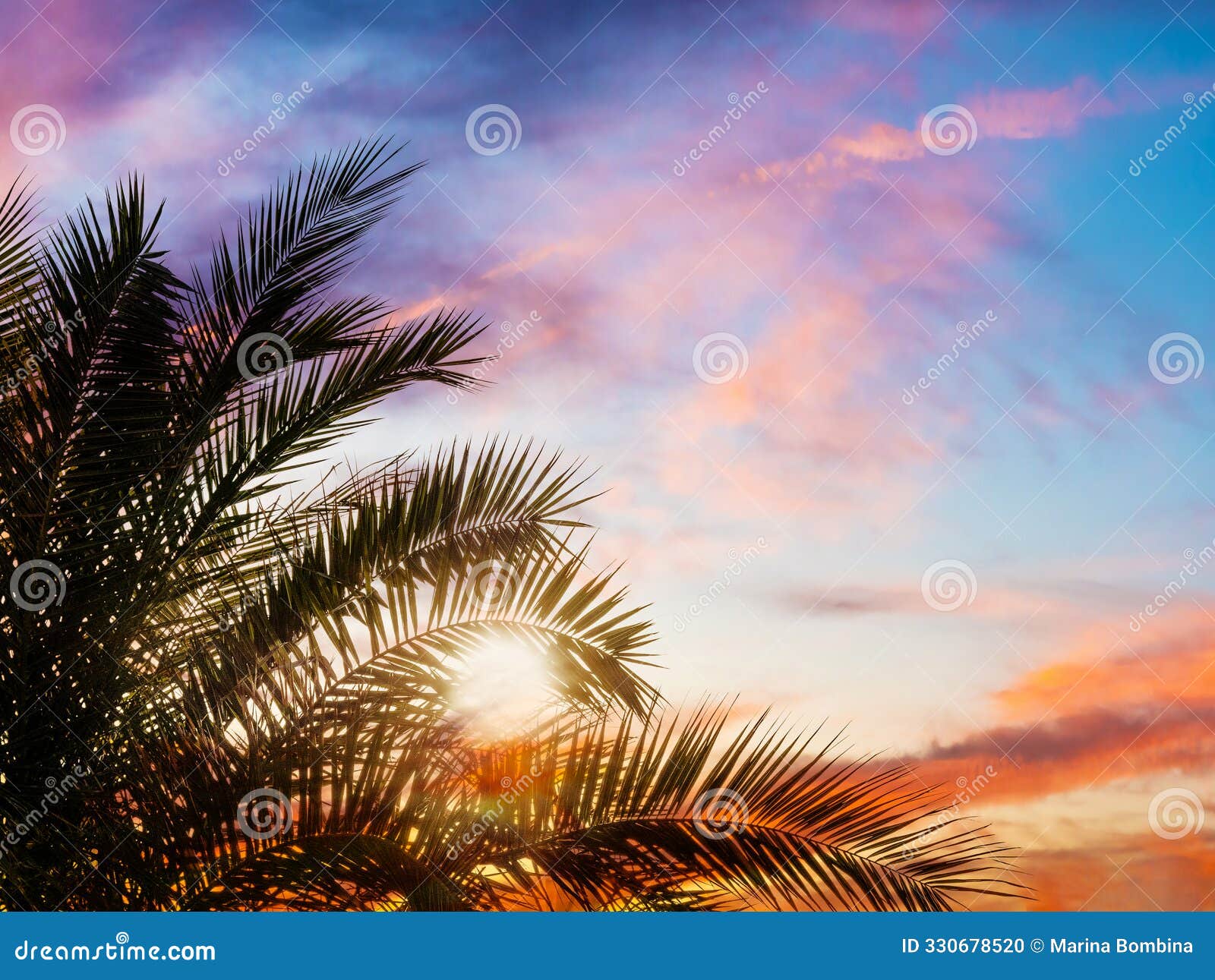 Palm Tree Silhouettes Against a Colorful Sky Stock Photo - Image of ...