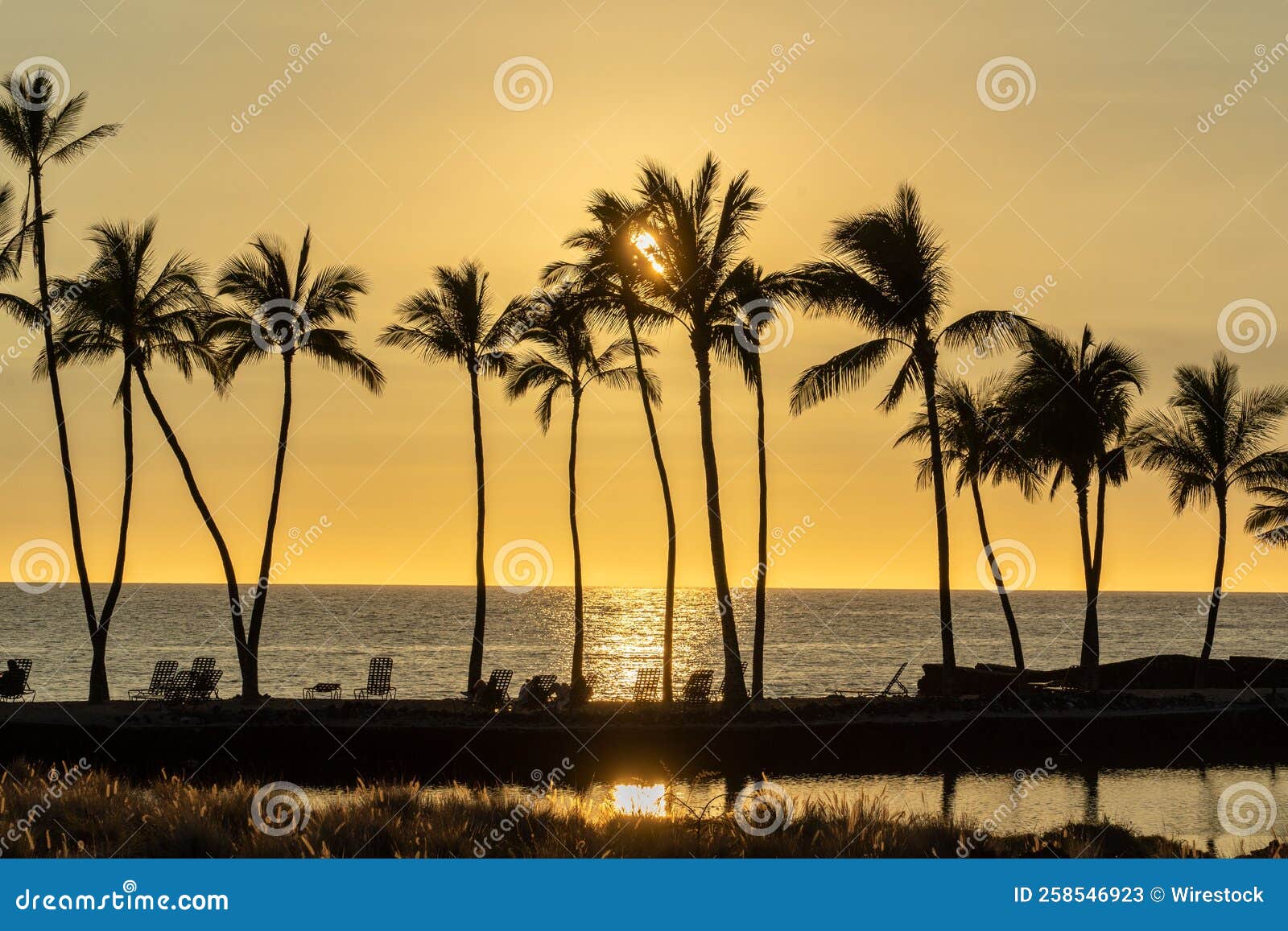 Palm Tree Silhouettes with Sunset Sky on the Background Stock Image ...