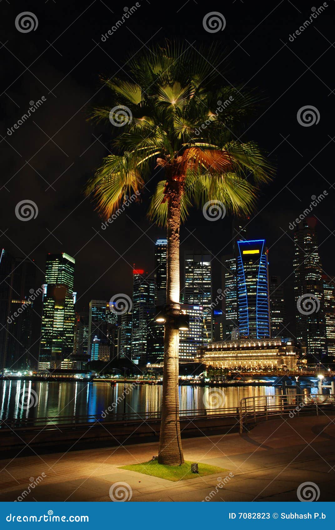 Palm Tree in the Singapore City Stock Image - Image of travel, modern ...