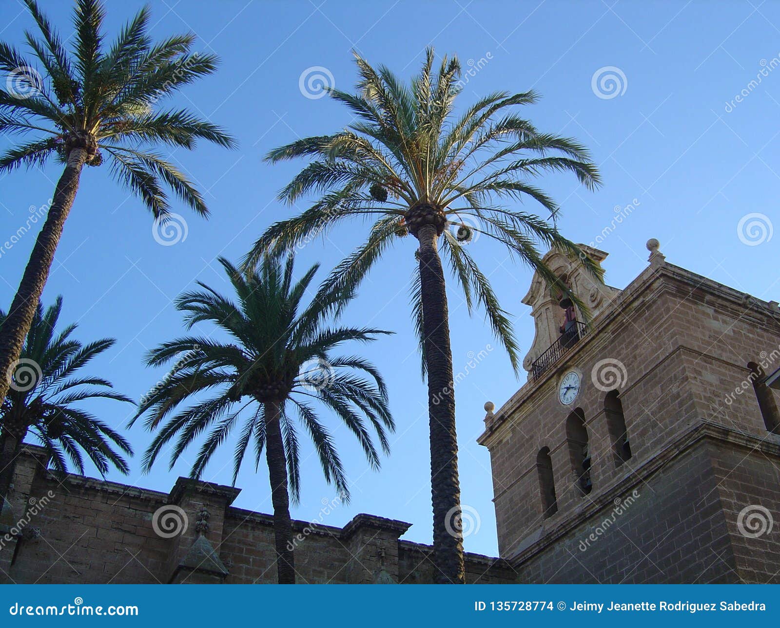 Palm Tree, Sky and Bell Tower Stock Photo - Image of cult, green: 135728774