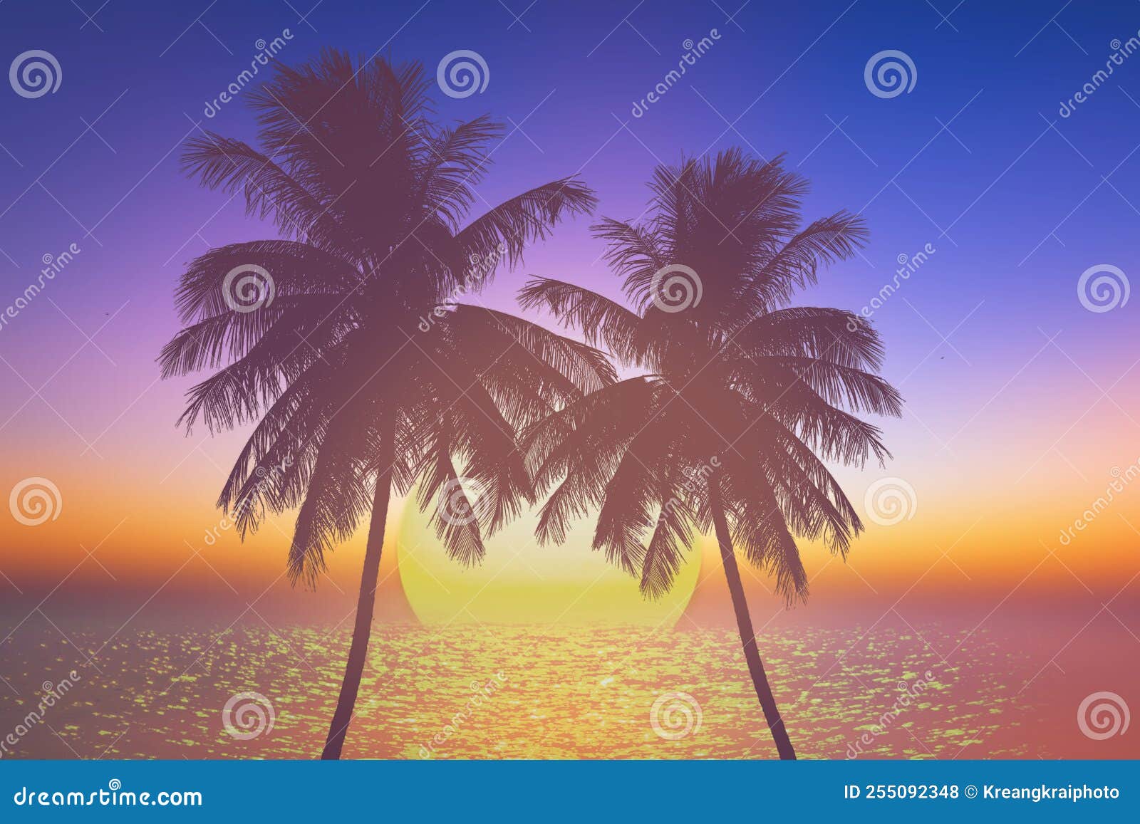 Palm Tree Sky and Sunset Nature Background Stock Photo - Image of ...