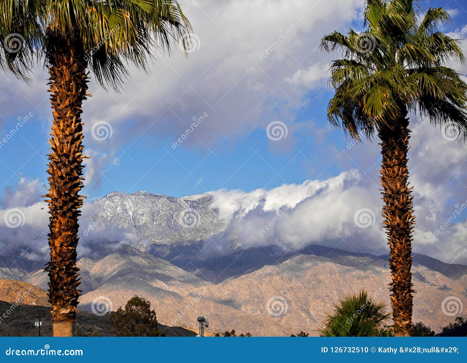 Palm Tree and a Springtime Mountain Range Stock Photo - Image of cloud ...