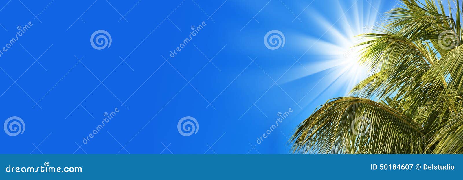 Palm tree, sun and sky stock image. Image of panoramic - 50184607