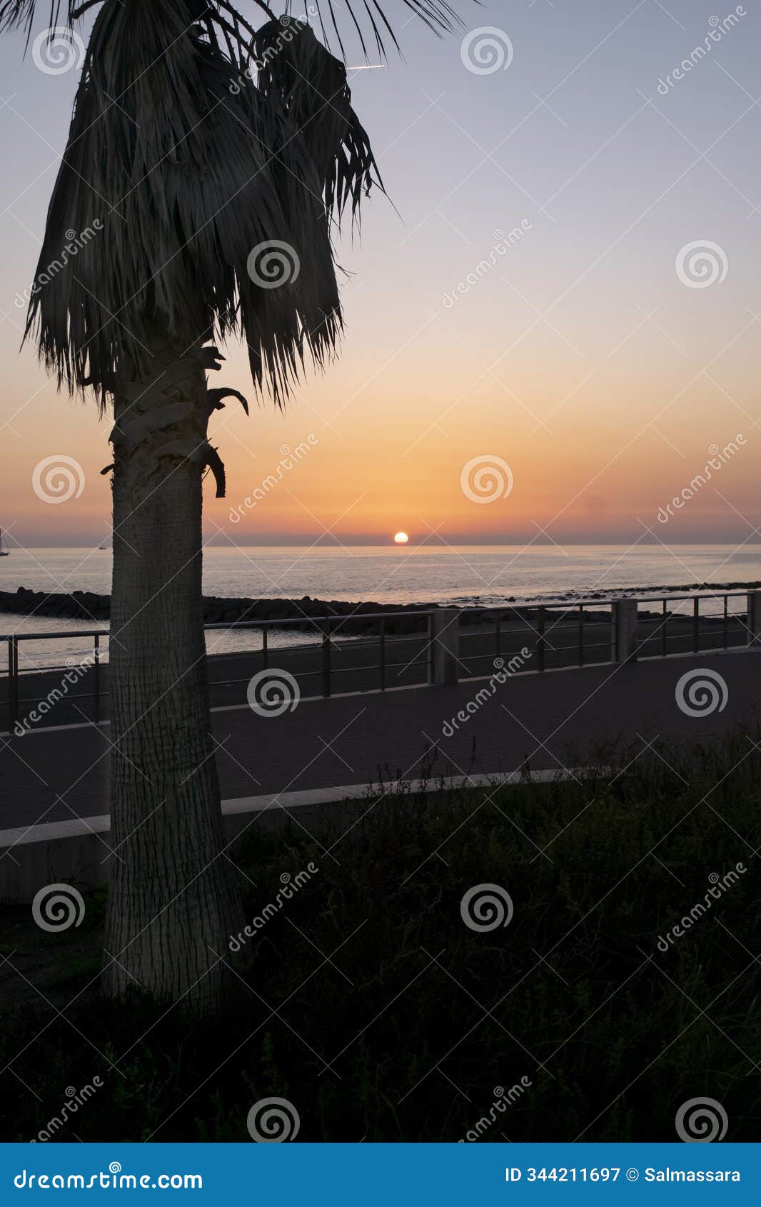 Palm tree at the sunset stock image. Image of silhouette - 344211697