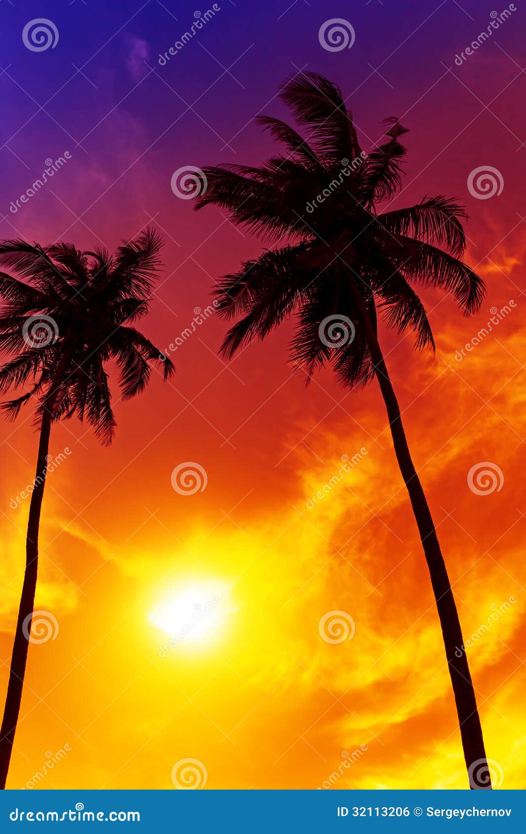 Tree Sunset, Colorful Sky With Sunset And Big Tree , Abstract ...