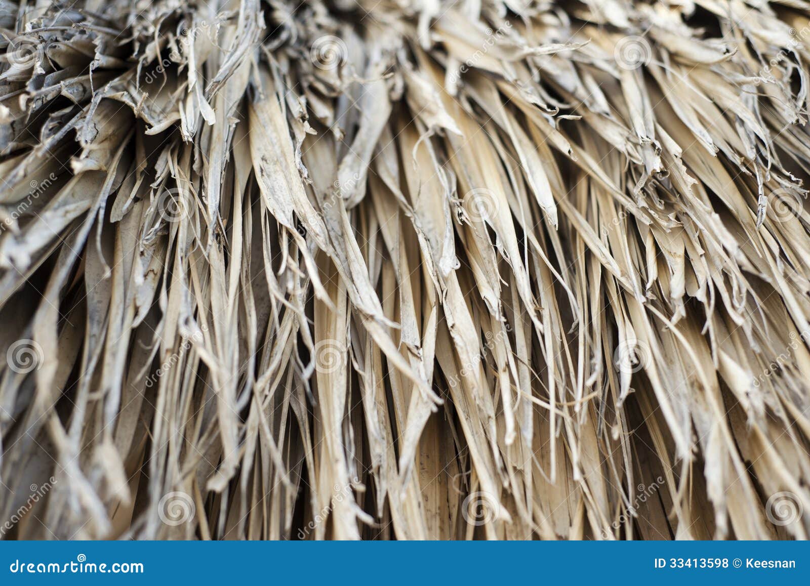 Palapa Texture Stock Photography | CartoonDealer.com #30877982