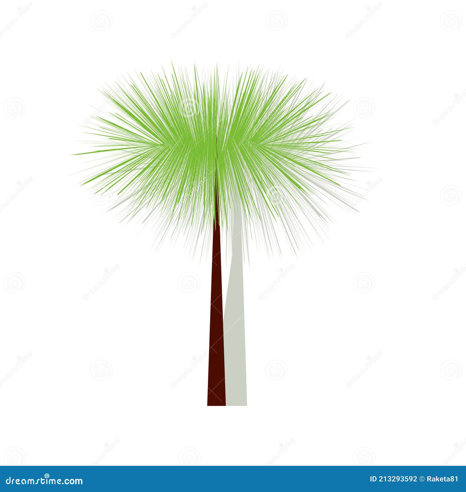 Palm Tree Tropical Plant on White Background, Botanical View, Exotic ...