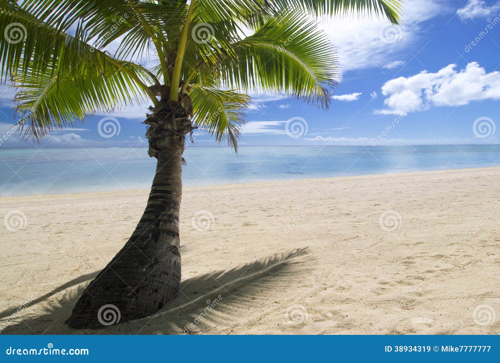 Palm Tree on Tropical Sandy Beach. Aitutaki Stock Image - Image of ...