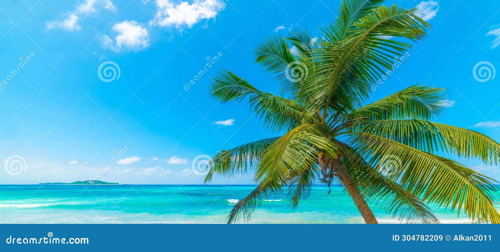Palm Tree and Turquoise Water in a Tropical Beach Stock Image - Image ...
