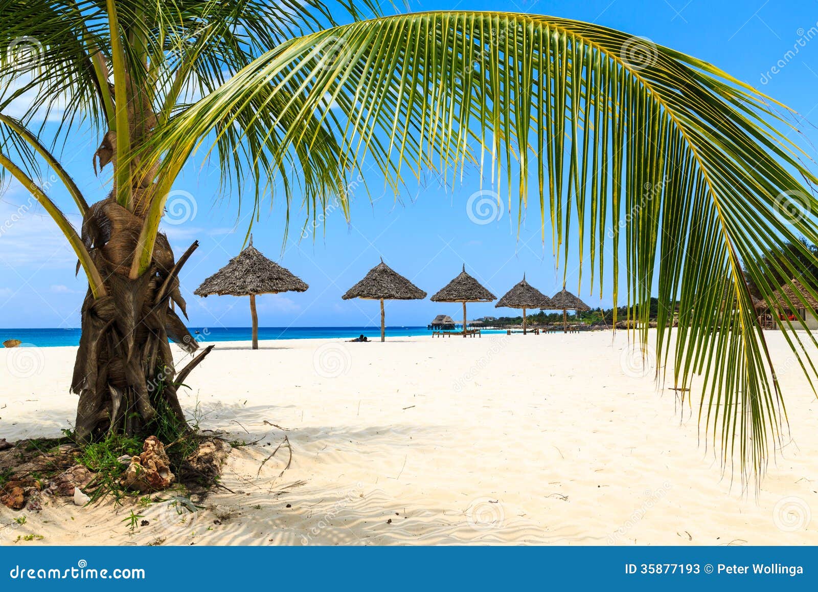 Palm Tree and Umbrellas on a Beach Stock Image - Image of resort, scene ...