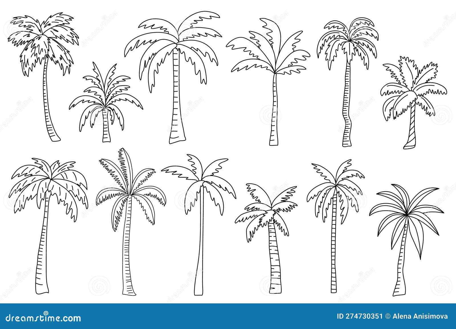 Palm Tree Vector Illustration. Doodle Style Stock Illustration ...
