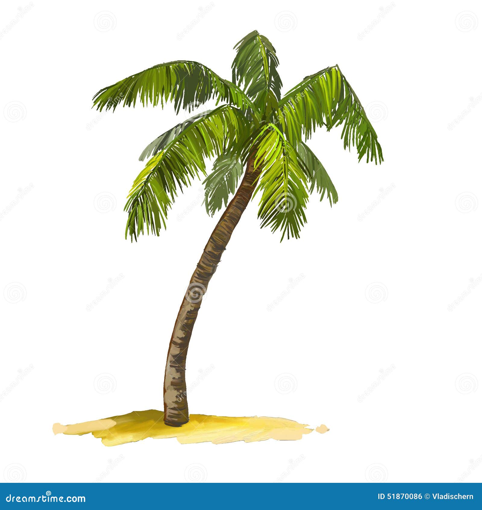 Palm Tree Vector Illustration Hand Drawn Painted Stock Vector ...