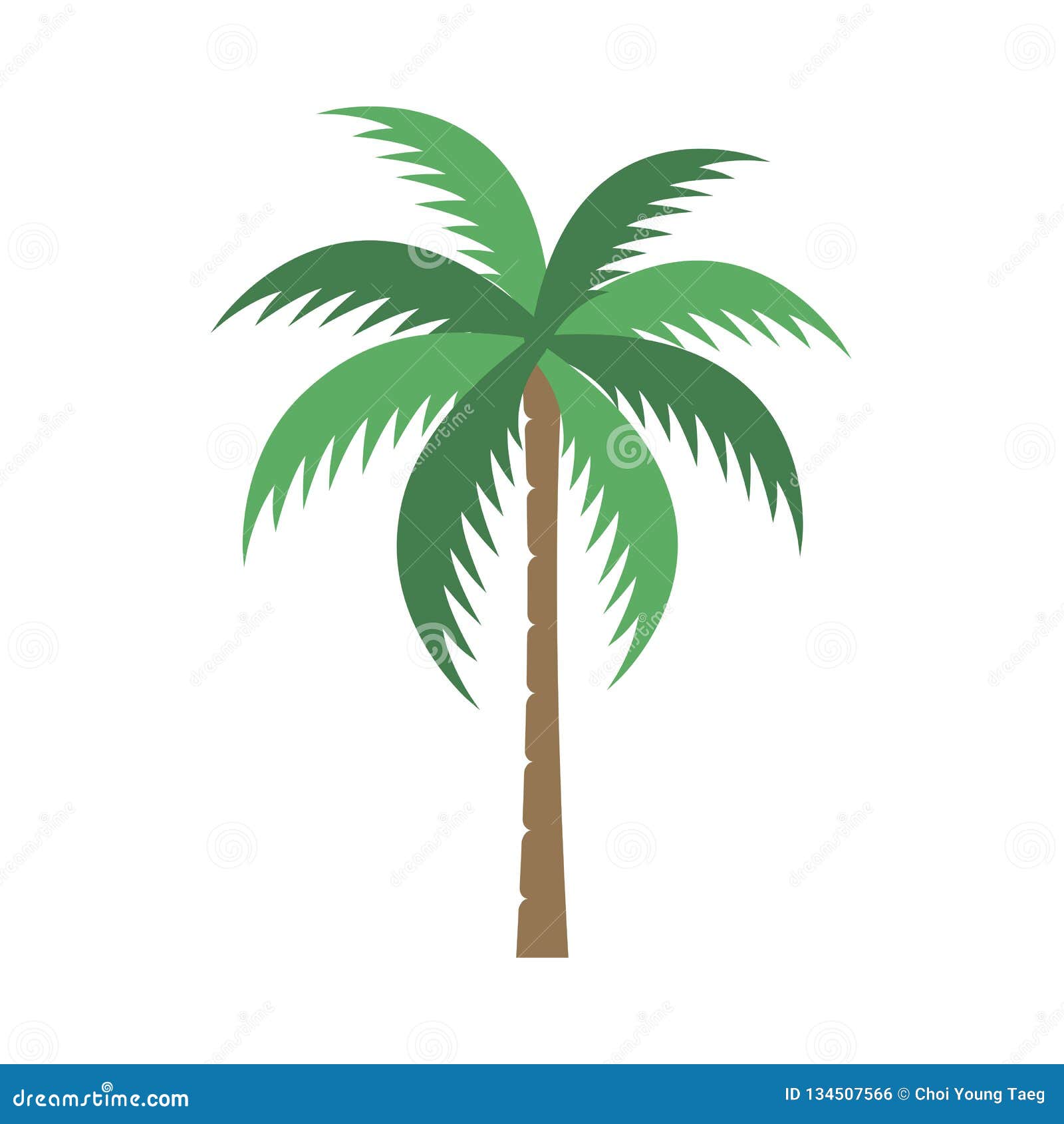 PALM TREE VECTOR stock vector. Illustration of climate - 134507566