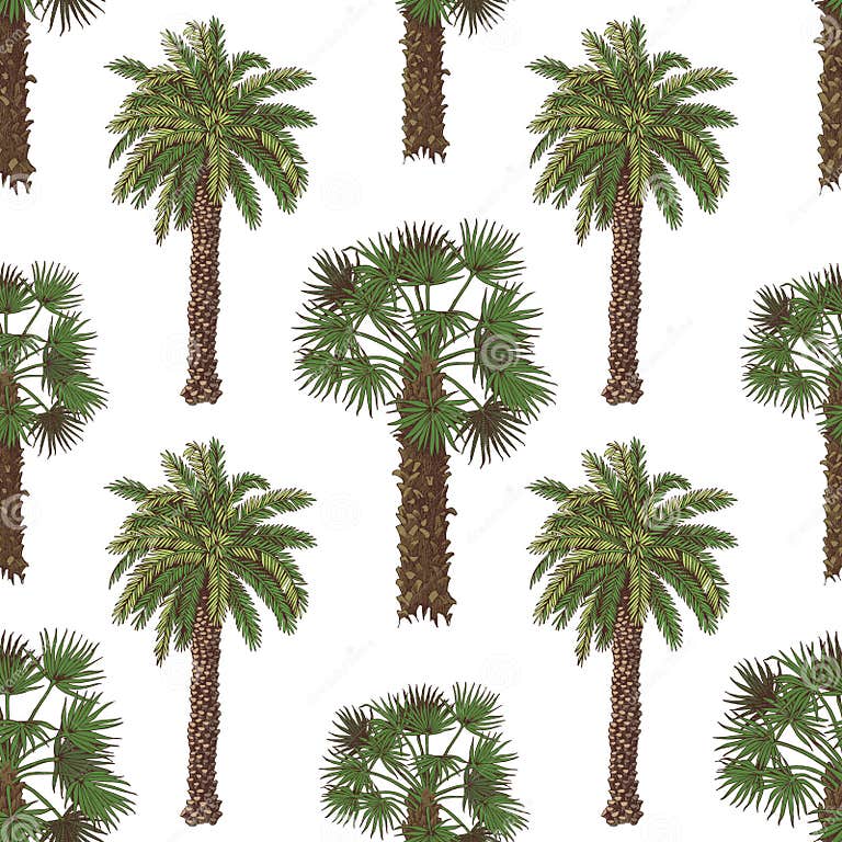 Palm Tree Vector Seamless Pattern Stock Vector - Illustration of print, wallpaper: 342611239