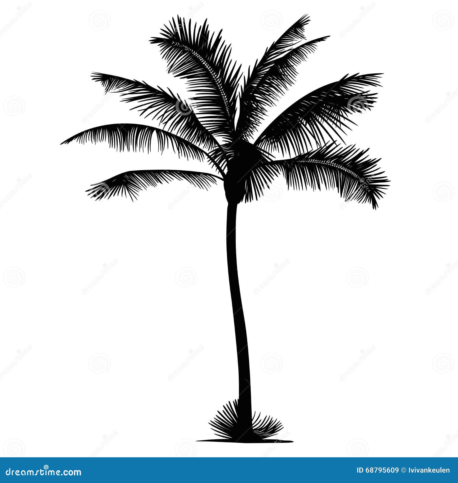 Cycad Vector Stock Illustrations – 311 Cycad Vector Stock Illustrations ...