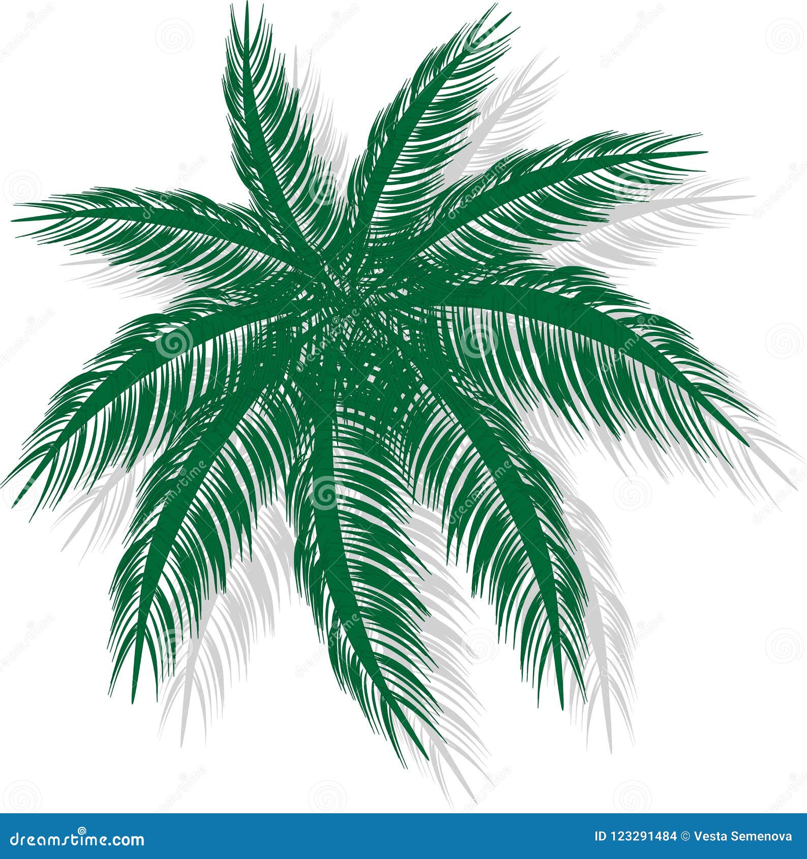 Palm Tree View from the Top Stock Vector - Illustration of shadow ...