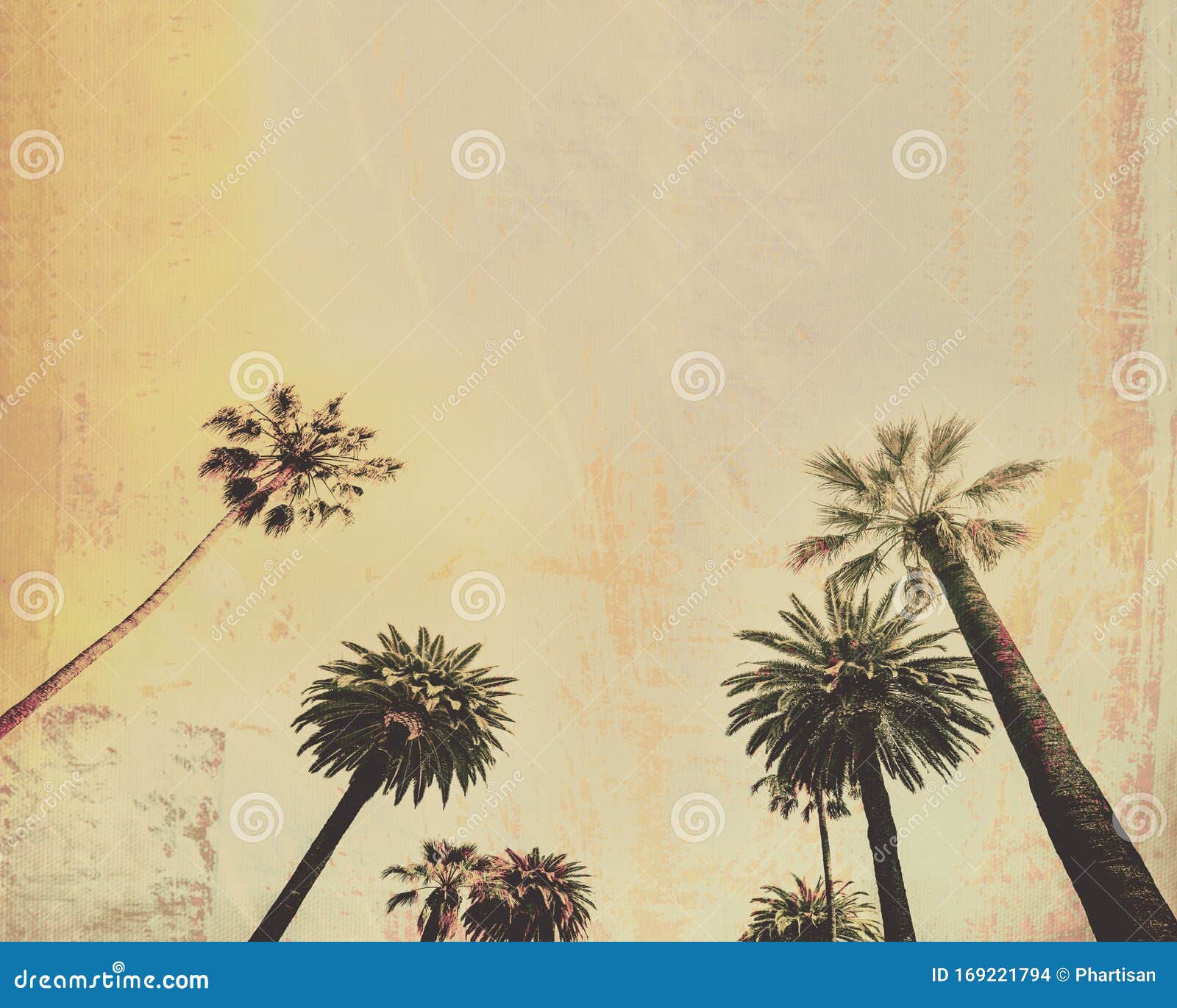Palm Tree Vintage Style Background Stock Illustration - Illustration of ...
