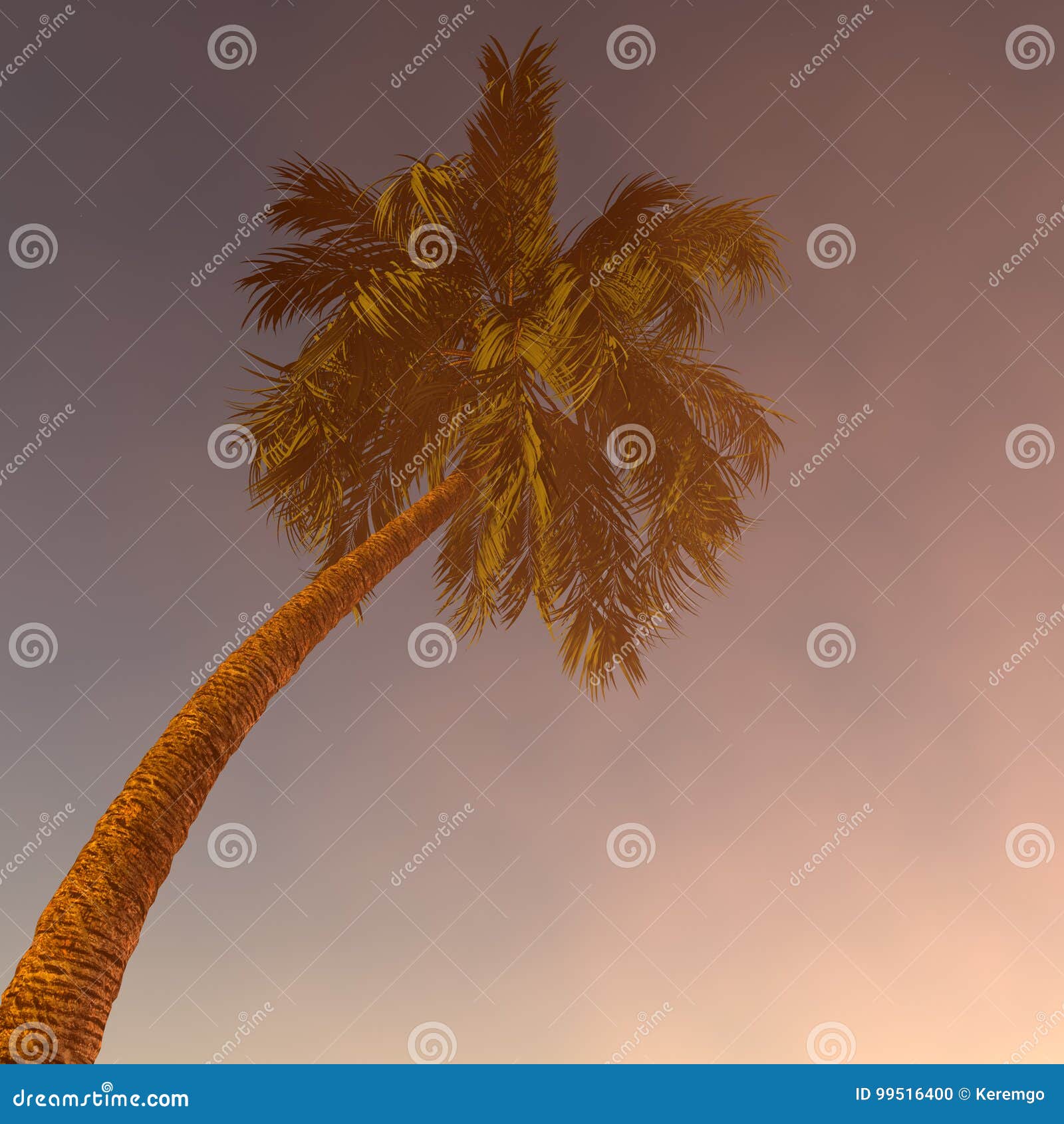 Palm Tree in Warm Summer Atmosphere Stock Illustration - Illustration ...