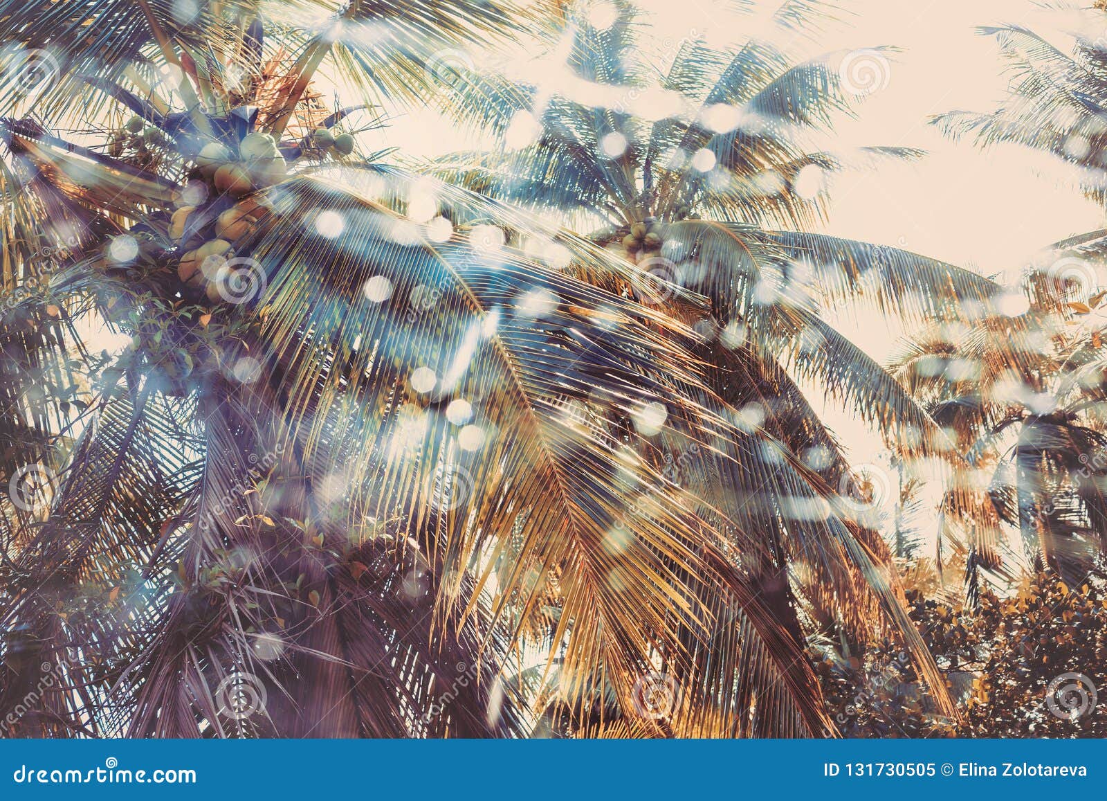 Palm Tree through Window Rain Stock Image - Image of nature, graphic ...