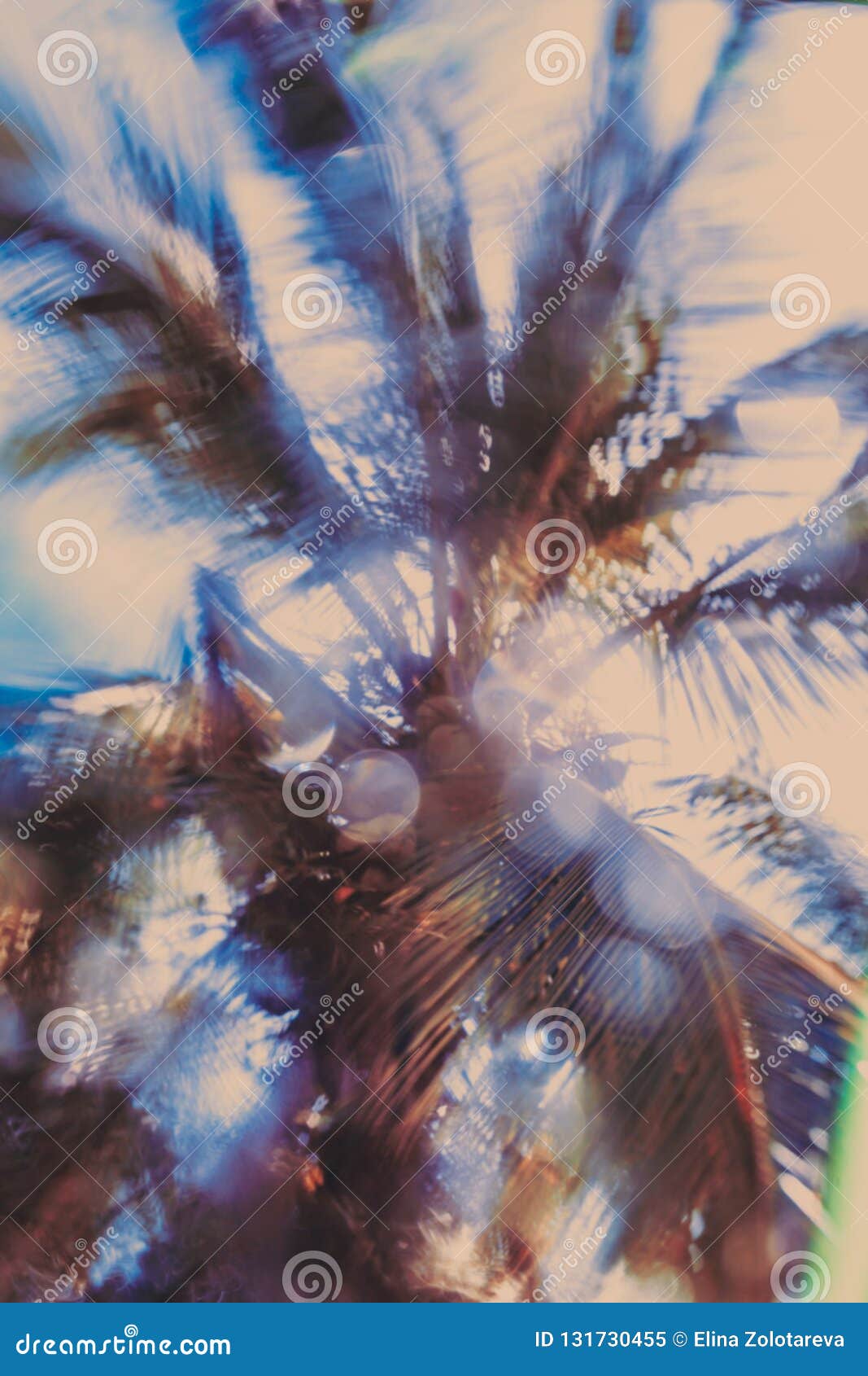 Palm Tree through Window Rain Stock Image - Image of shadow ...