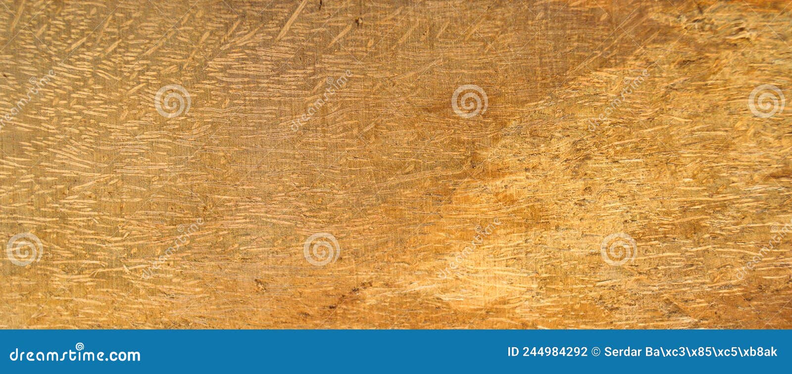 Palm Tree Wood, Can Be Used As Background, Wood Grain Texture Stock ...