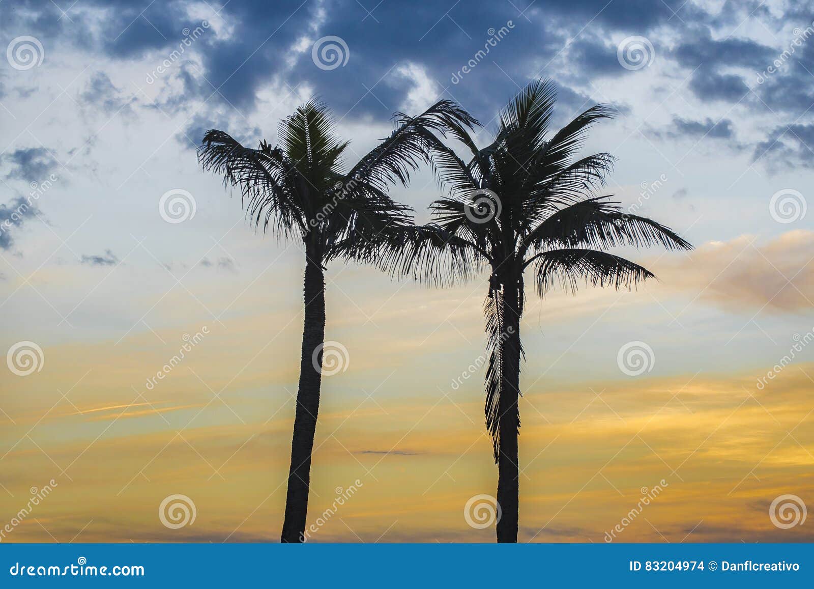 Palm Trees Against Sunset Sky Stock Photo - Image of tropic, orange ...