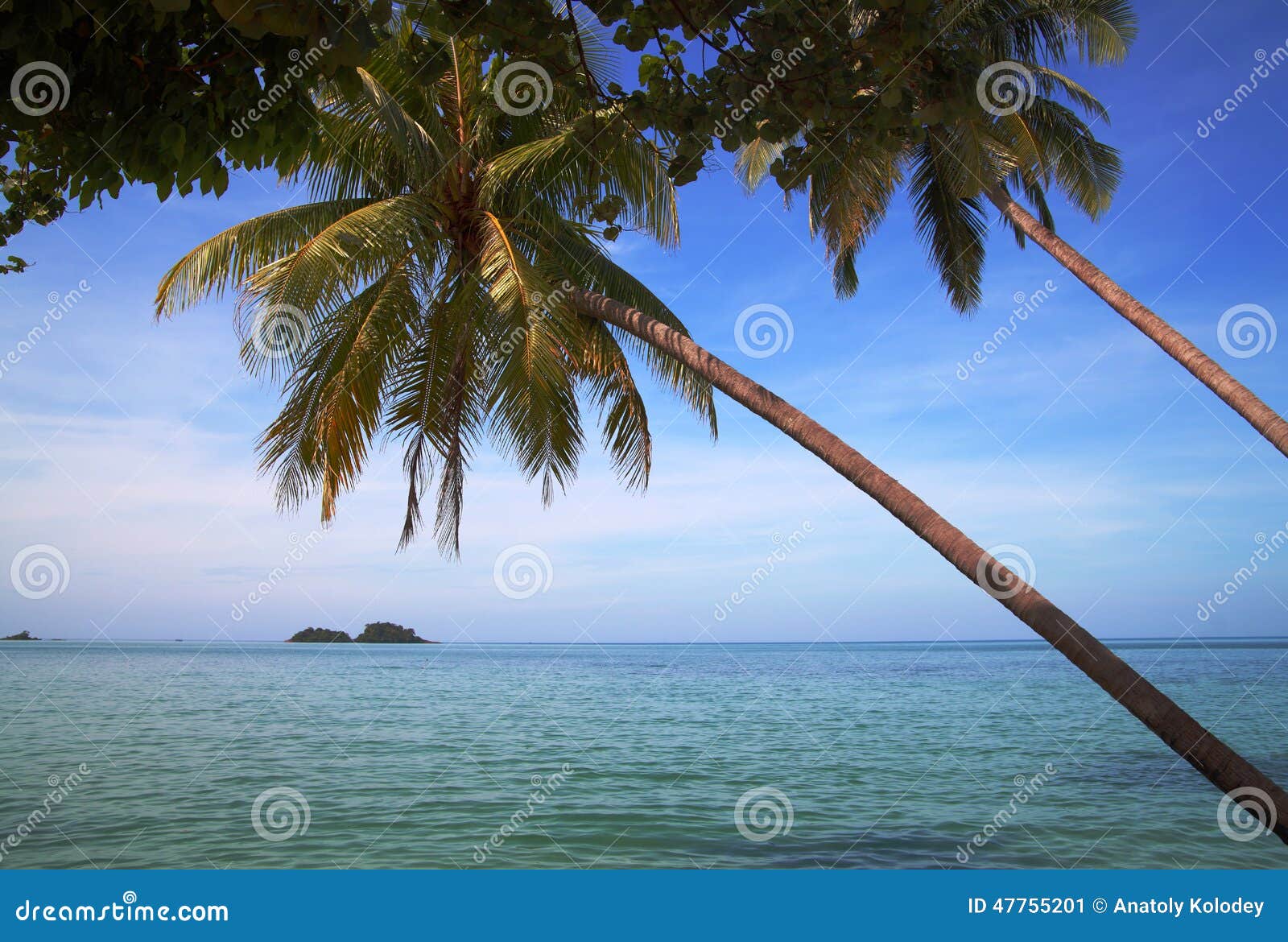 Palm-trees Against Tropical Islands in the Ocean Stock Image - Image of ...