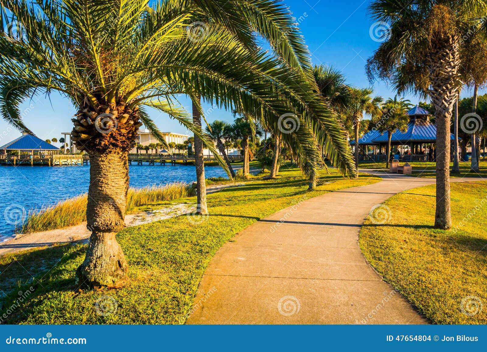 Palm Trees Along a Path in Daytona Beach, Florida. Stock Photo - Image ...