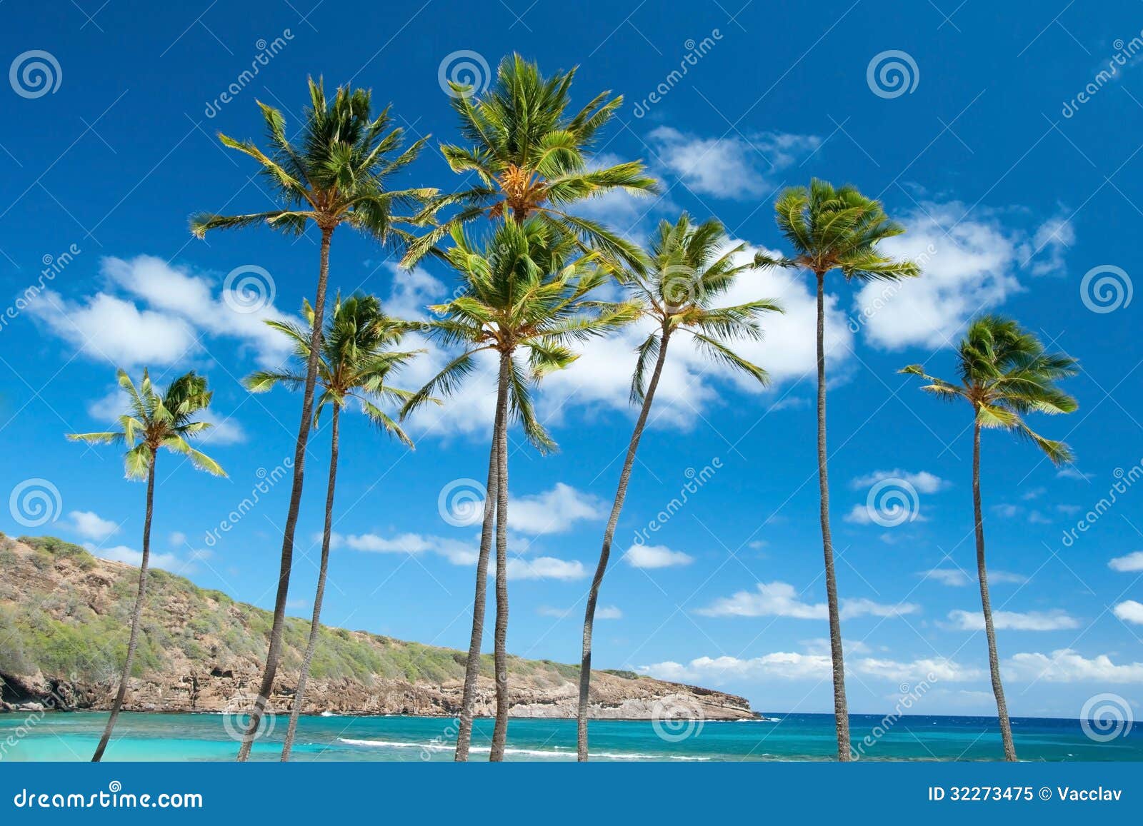 Azure Blue Paint Splatter. Paint Splash On White Background. Watercolor ...