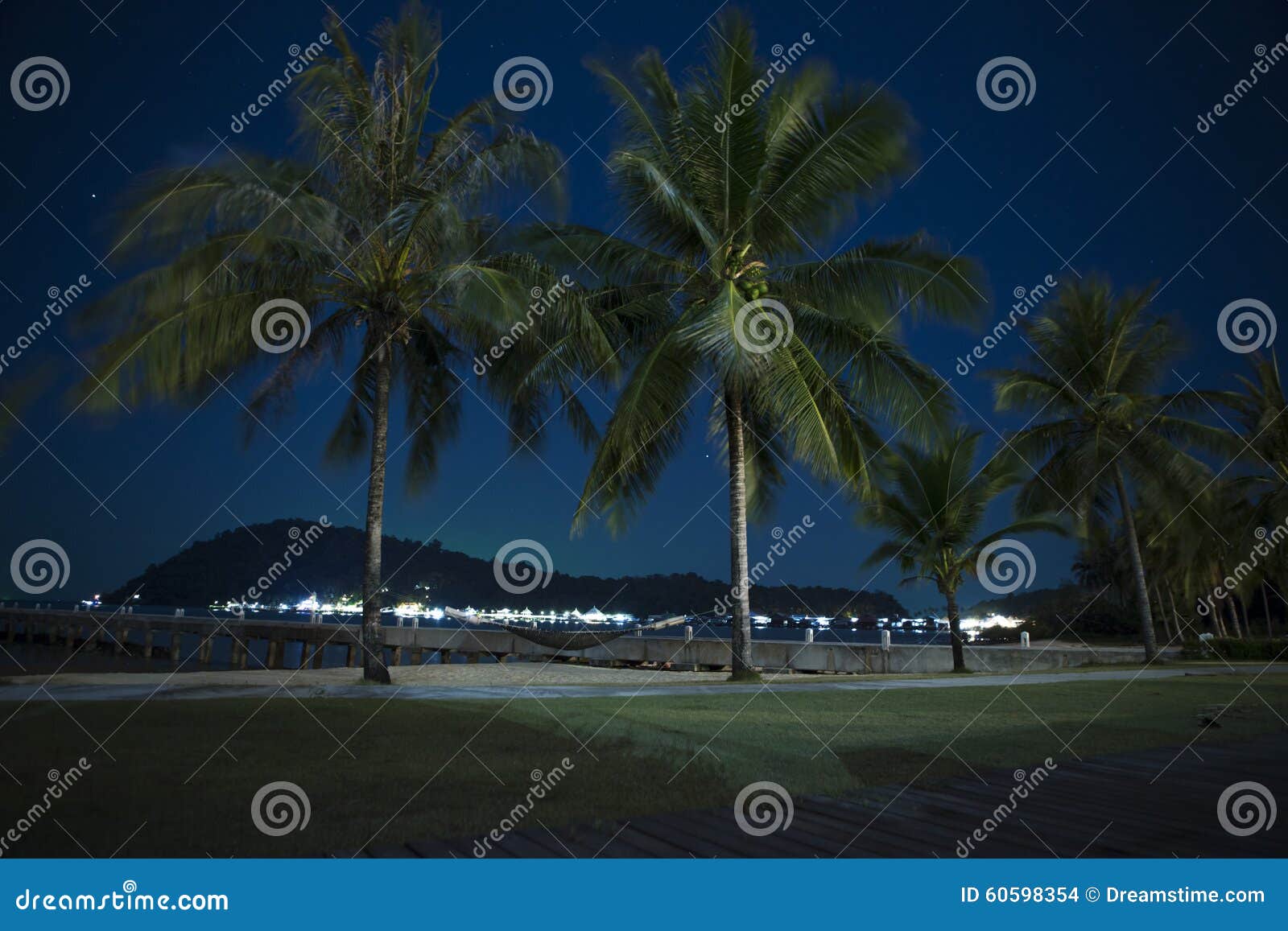Palm Trees on the Beach at Night Stock Photo - Image of tree, pierce ...