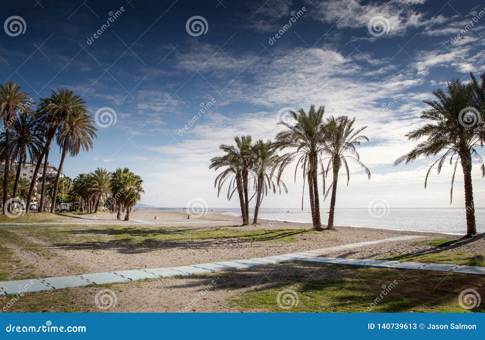 Palm Trees on a Beach in Spain Stock Image - Image of trees, tourist ...