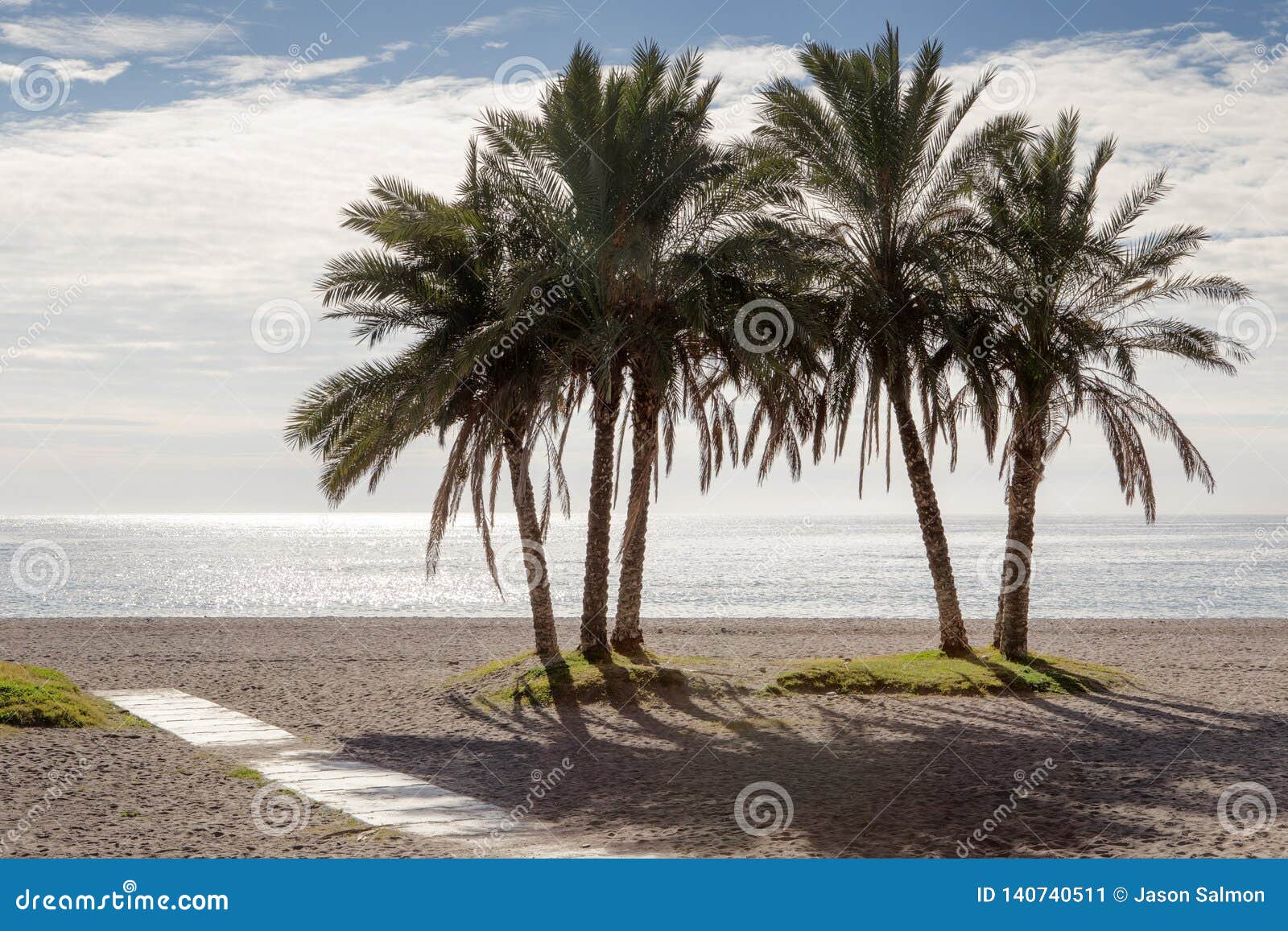 Palm Trees on a Beach in Spain Stock Image - Image of tourist, sunny ...