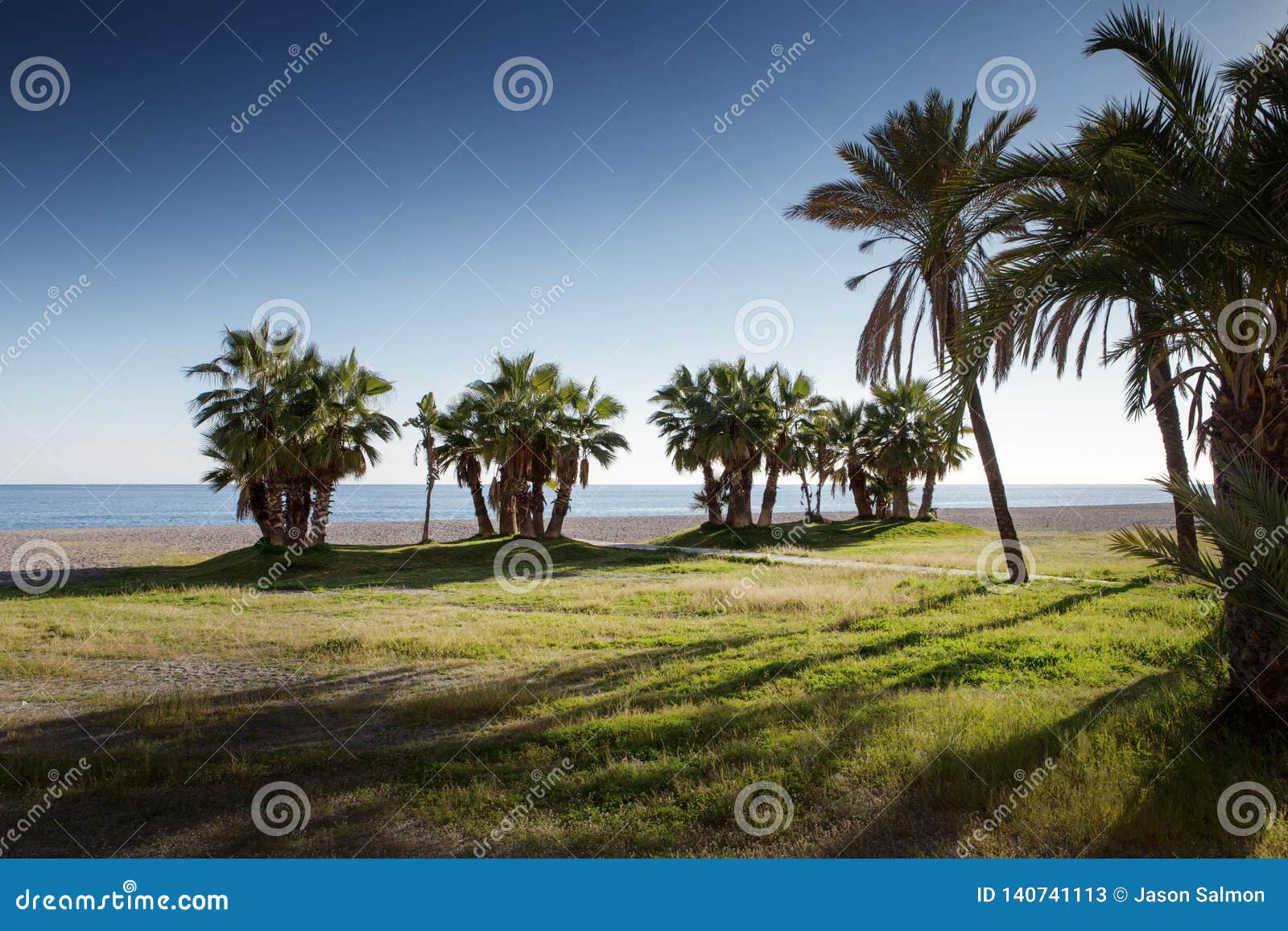 Palm Trees on a Beach in Spain Stock Image - Image of island, seaside ...