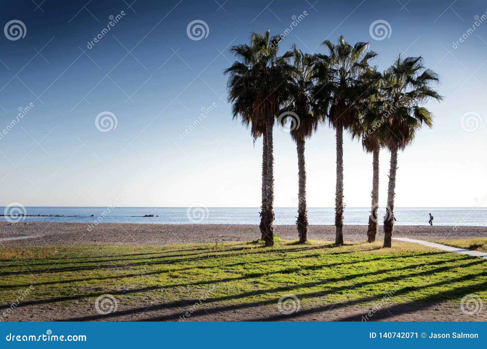Palm Trees on a Beach in Spain Stock Image - Image of view, tourism ...