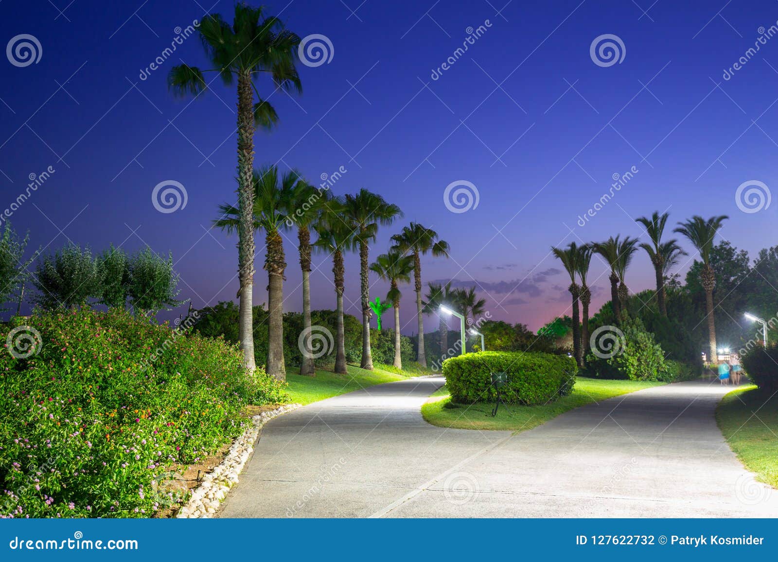 Palm Trees at the Beach of Turkey Stock Photo - Image of resort, trees ...
