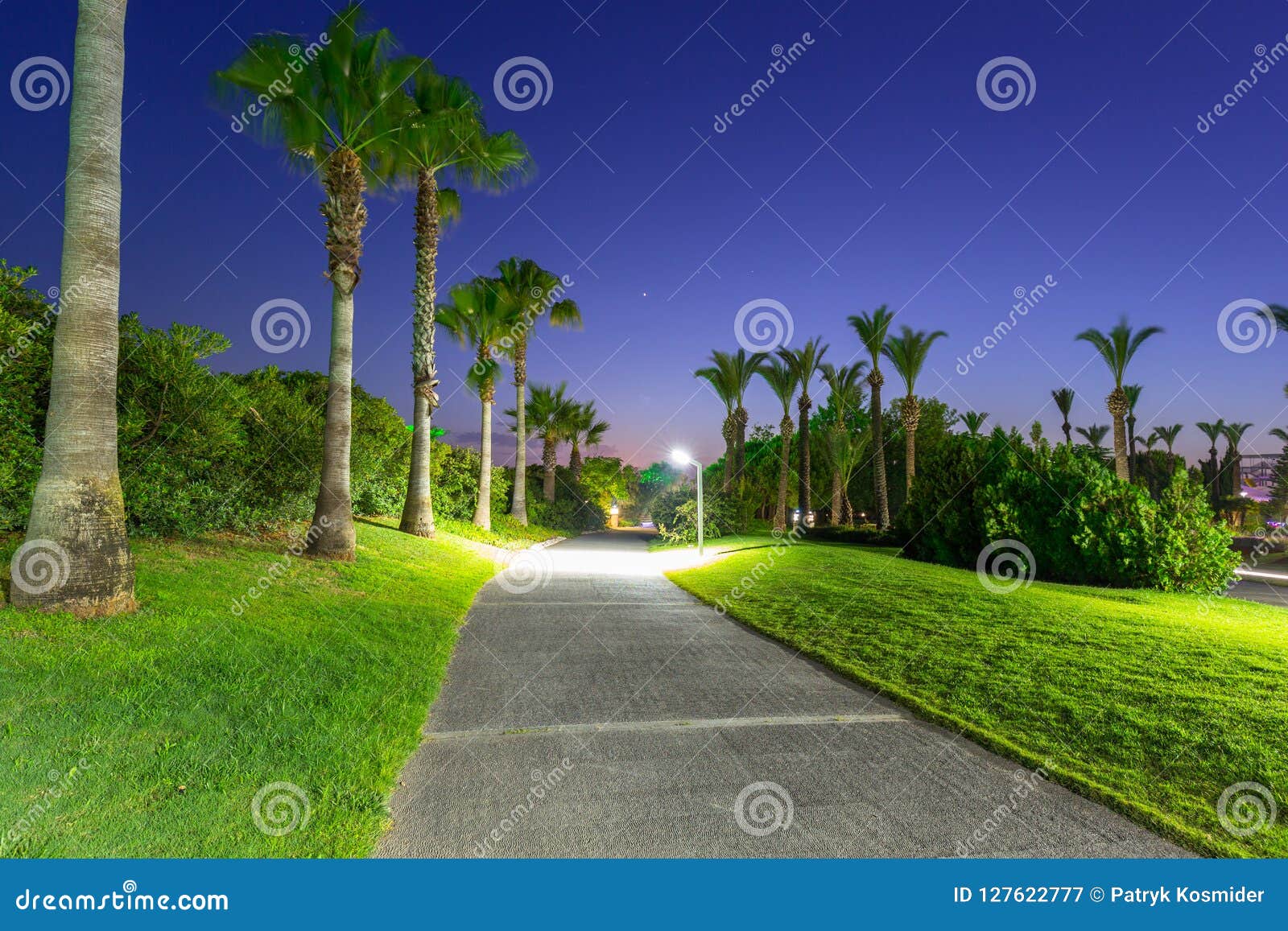 Palm Trees at the Beach of Turkey Stock Image - Image of palm, trees ...