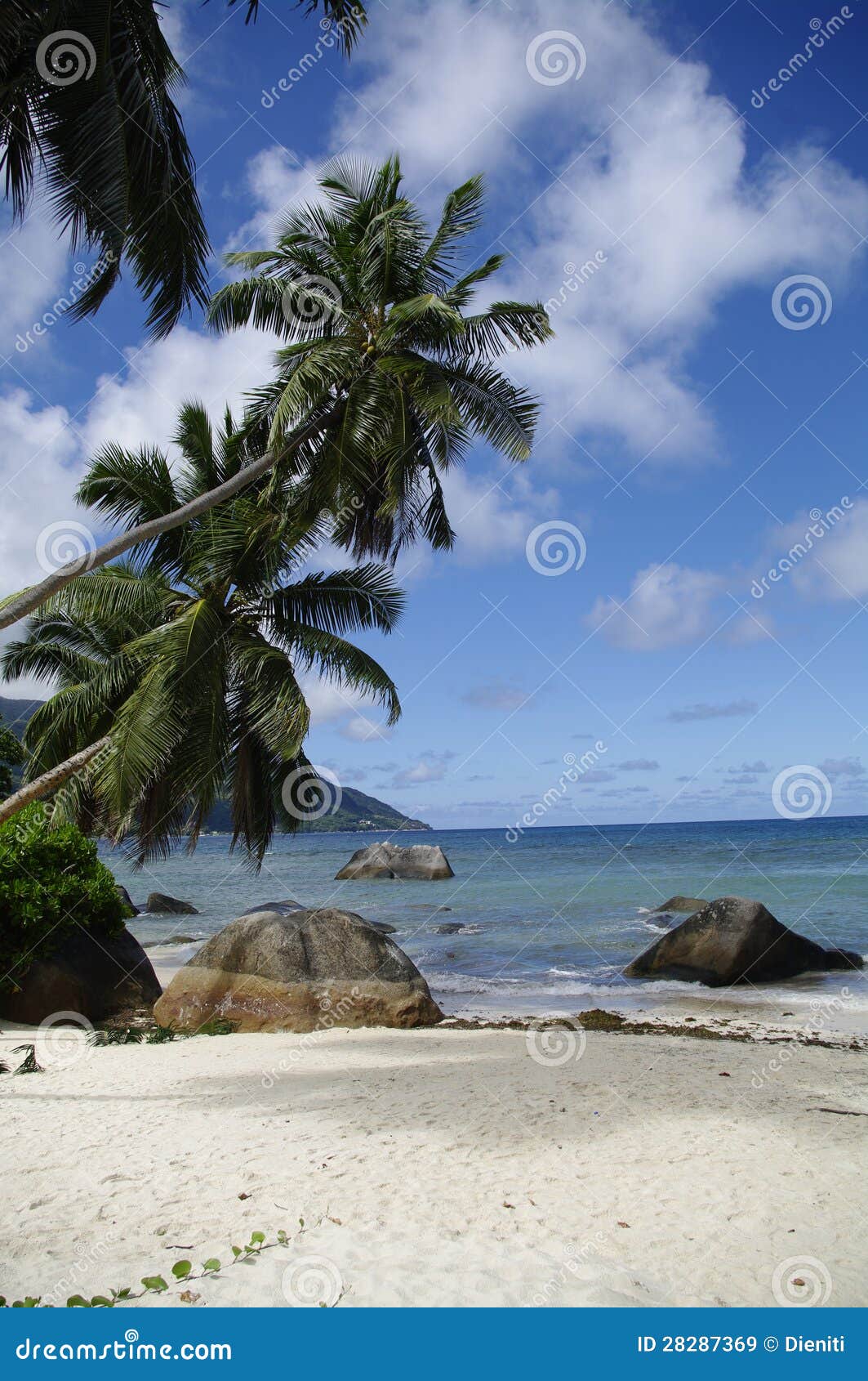Palm Trees at Beau Vallon Beach, Seychelles Stock Image - Image of ...