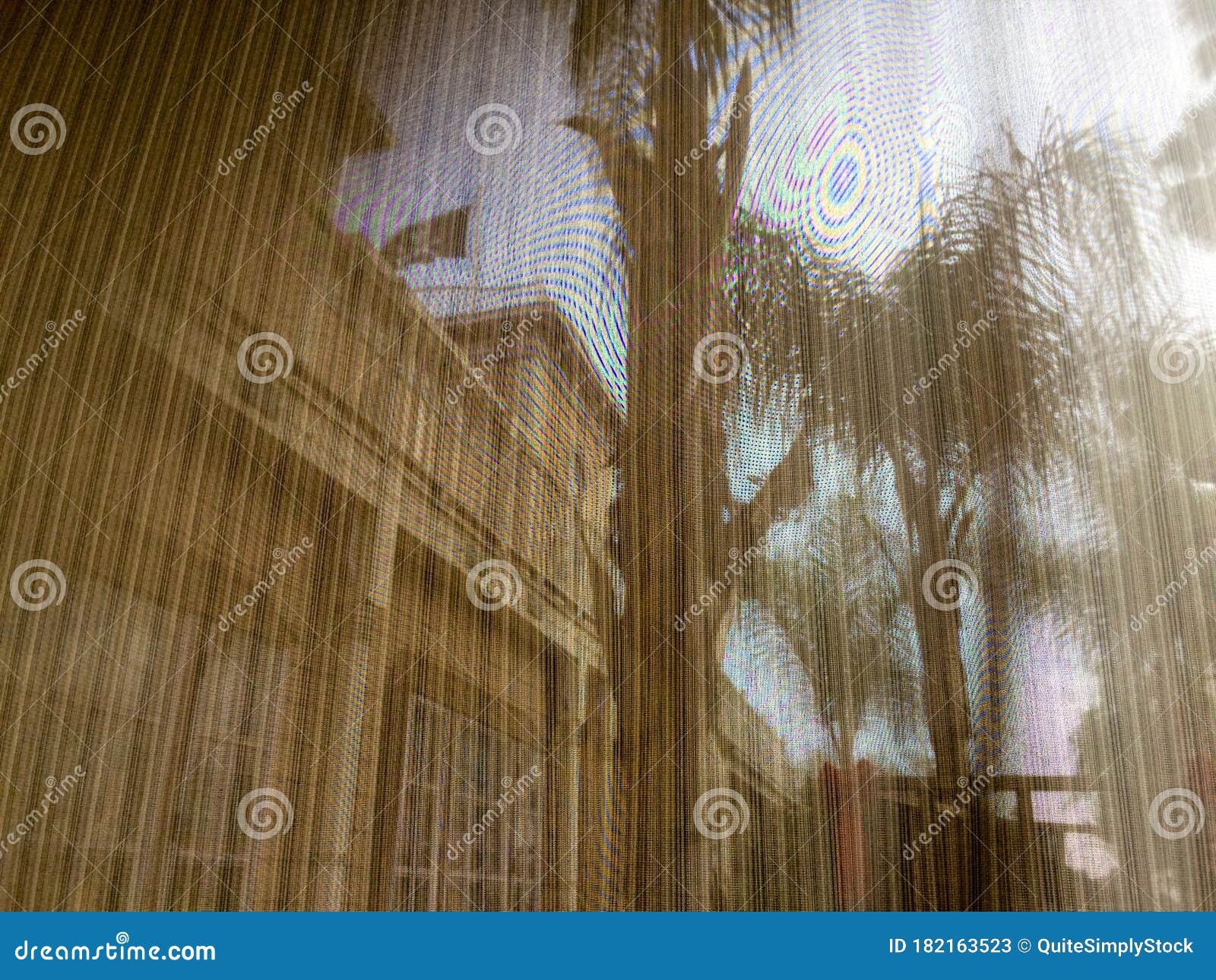 Palm Trees Behind Screen Mesh Stock Image - Image of green, ocean ...